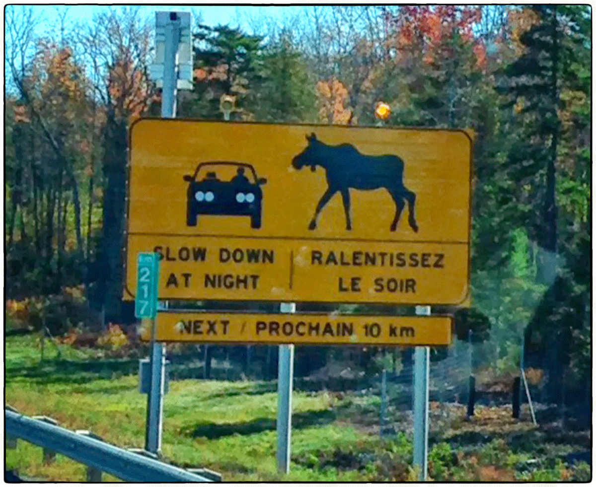Moose-Warning-Highway-Sign | Our Epic Journey Moose-Warning-Highway-Sign | Our Epic Journey