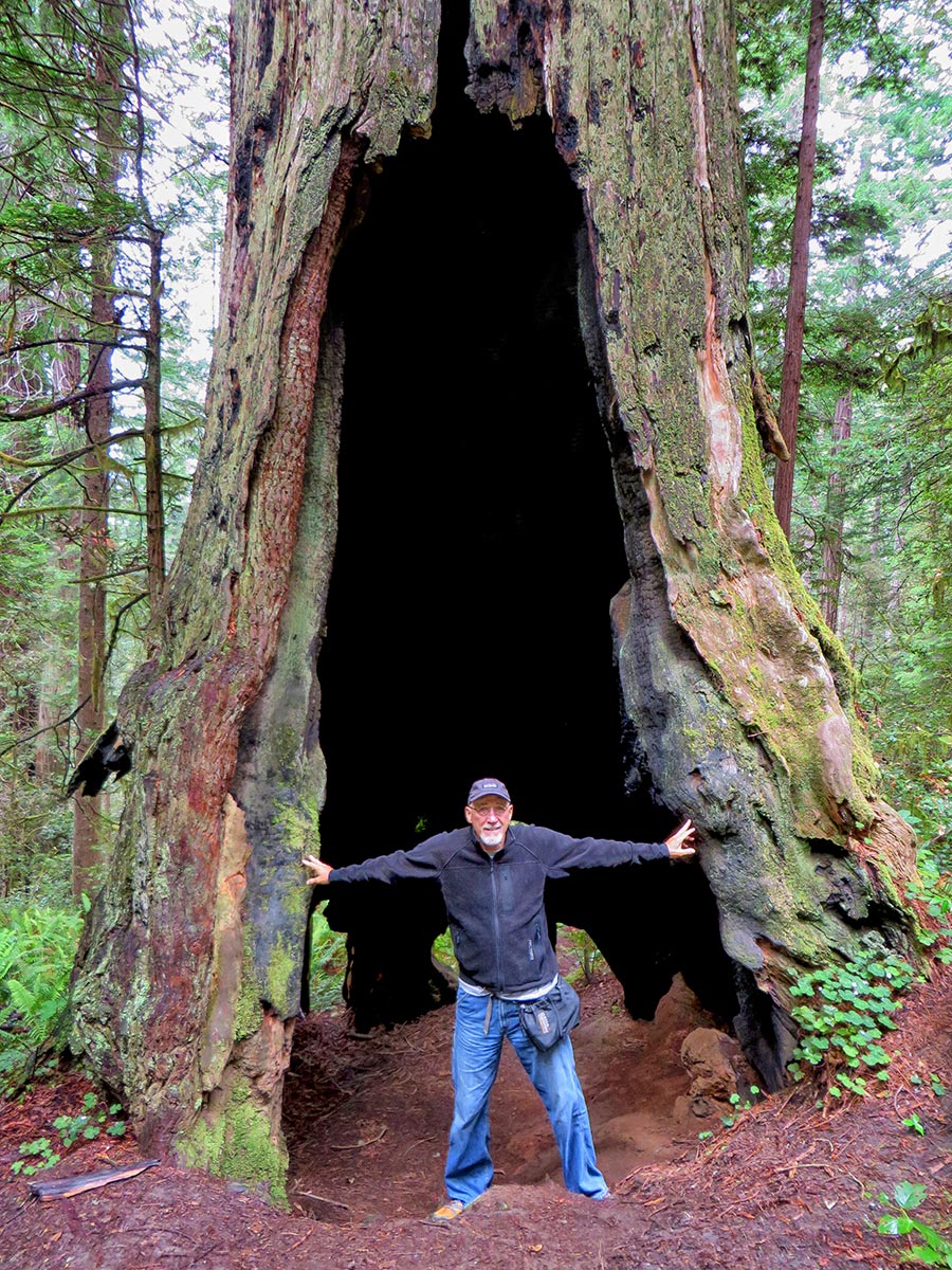Humbolt Redwoods State Park - Our Epic Journey