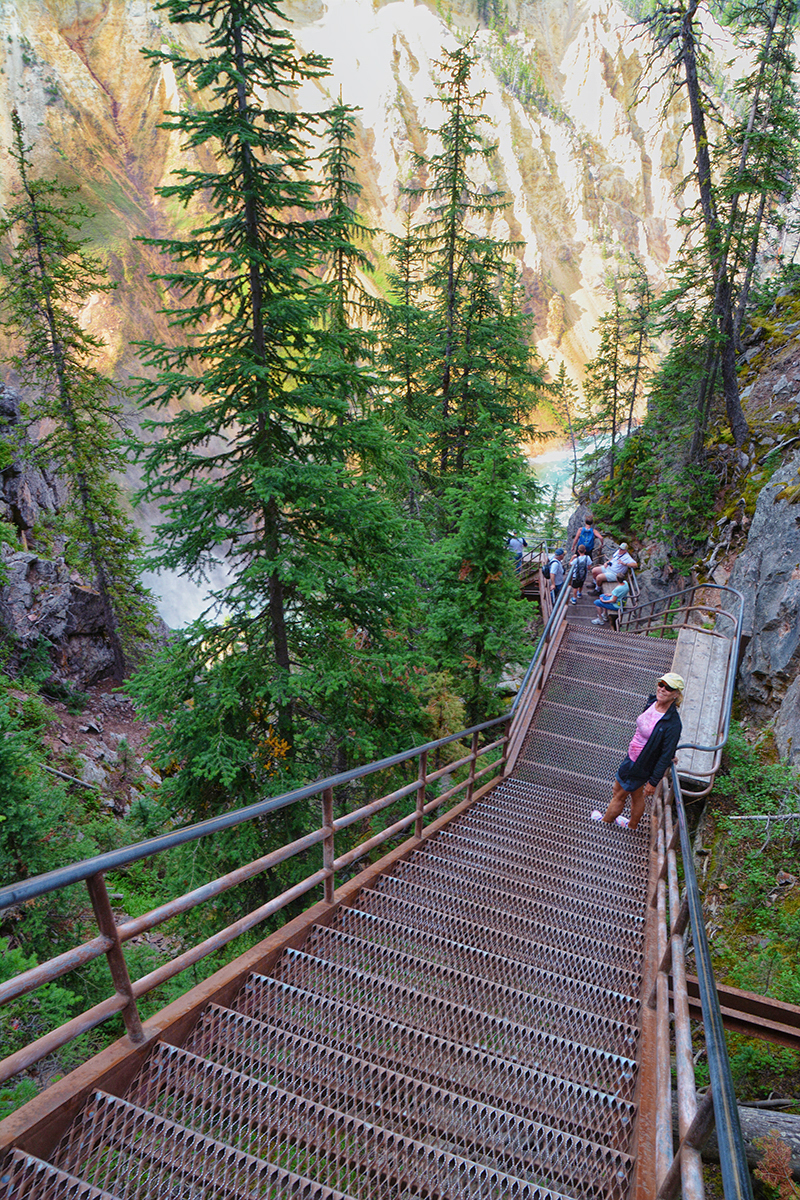 Yellowstone National Park - Our Epic Journey