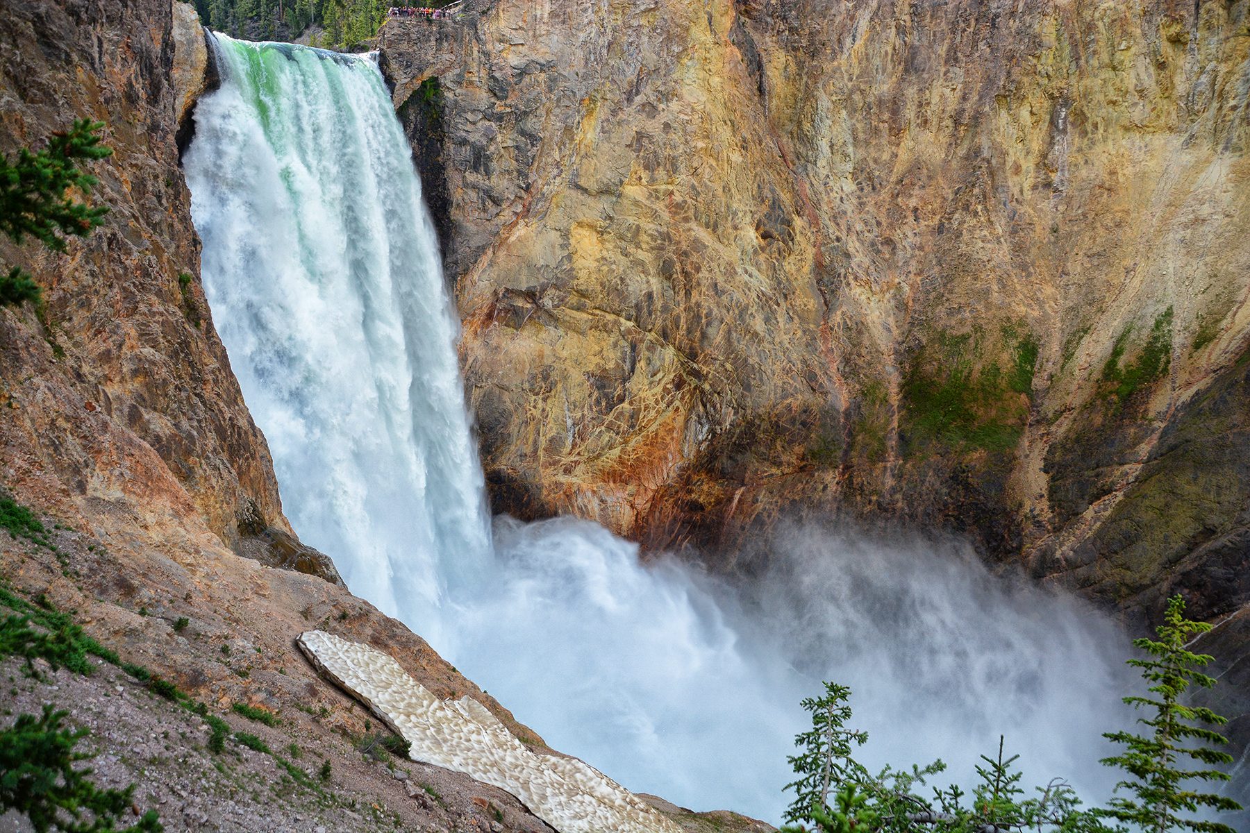 Yellowstone National Park | Our Epic Journey