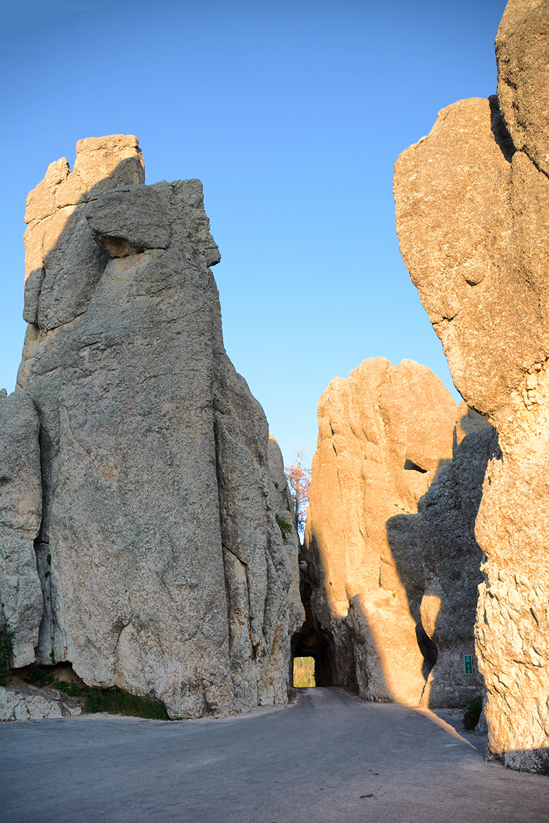 Custer State Park - Our Epic Journey