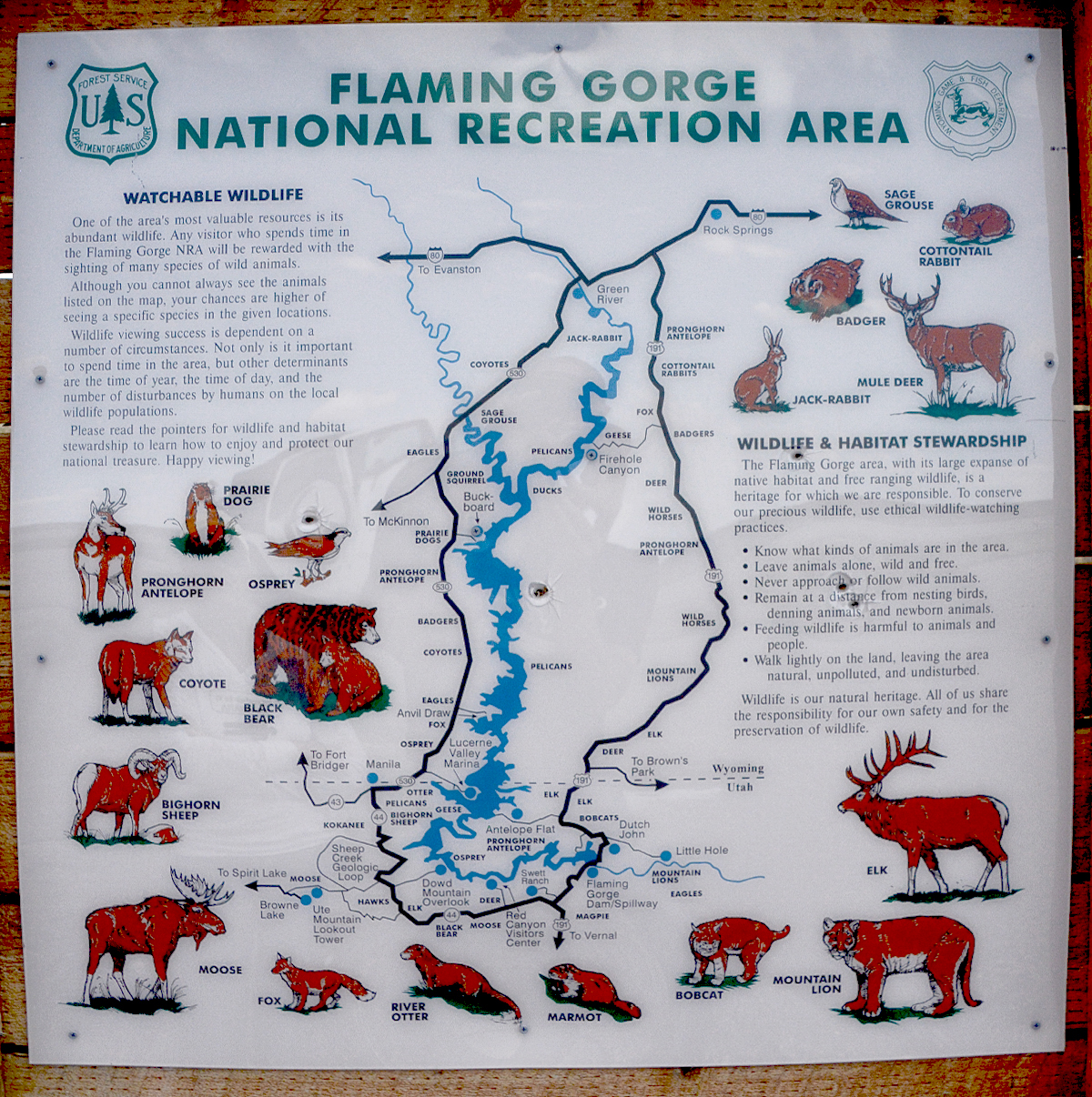 Flaming Gorge National Recreation Area - Our Epic Journey