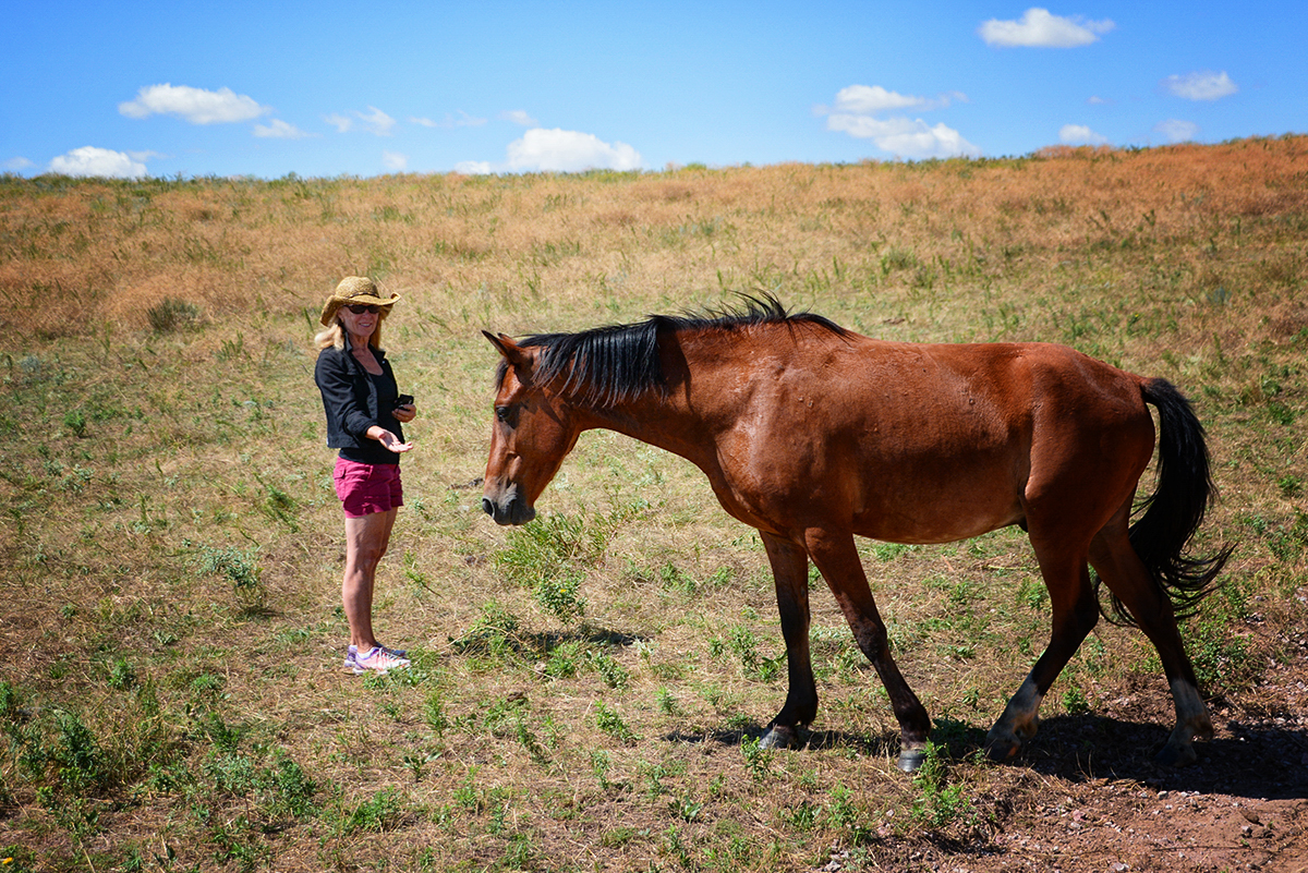 Wild Horse Sanctuary and Wind Cave NP - Our Epic Journey