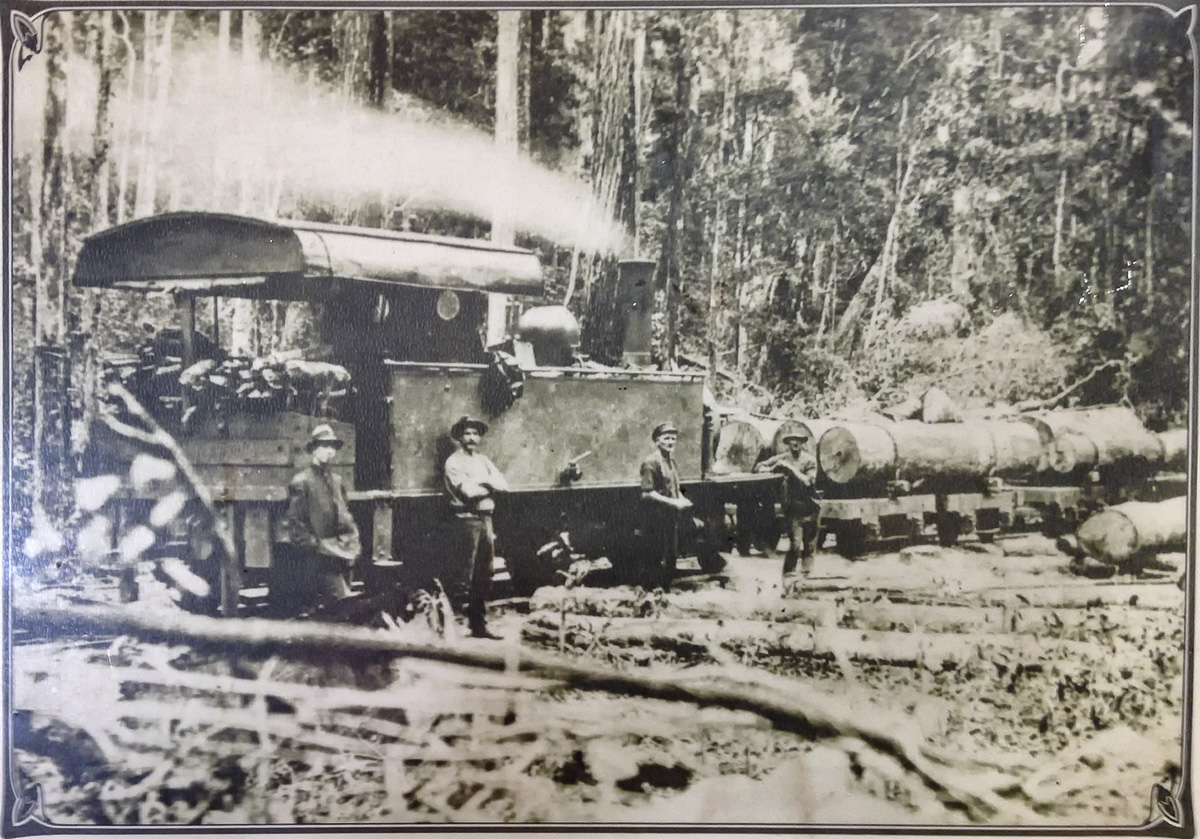 Fraser Island - Our Epic Journey