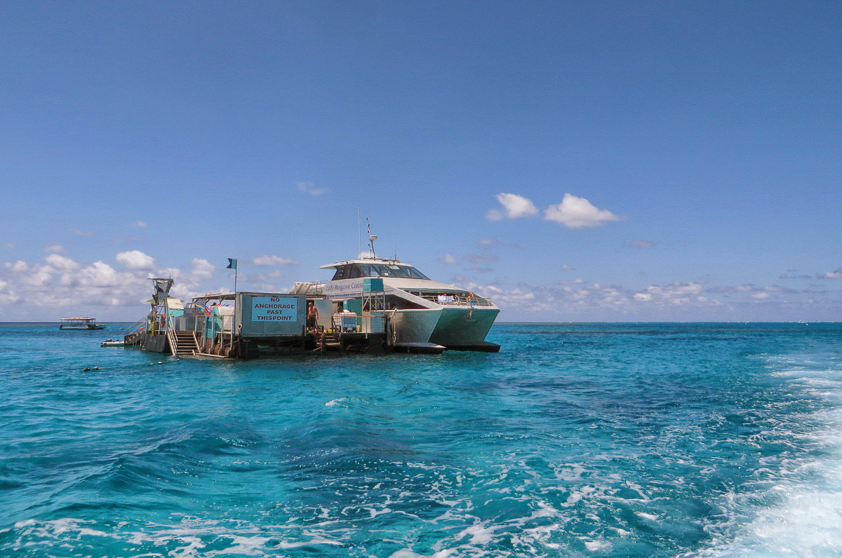 Lady Musgrave Island - Our Epic Journey