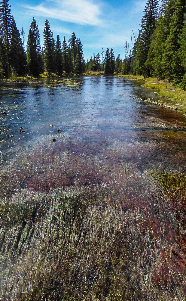 Quake Lake, Montana - Our Epic Journey