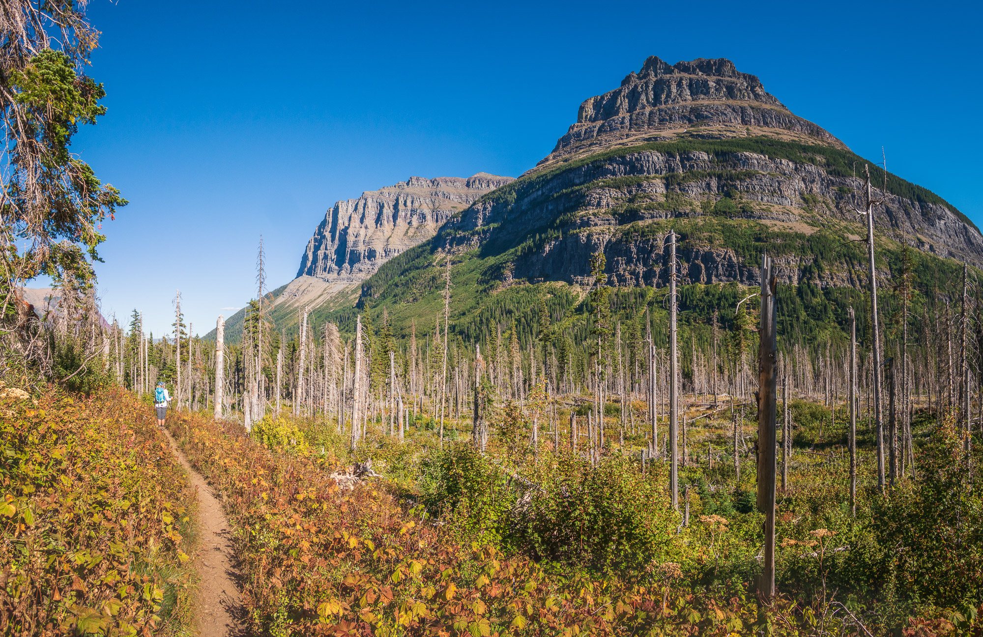 Florence Falls, Gunsight Lake and Piegan Pass Hikes - Our Epic Journey